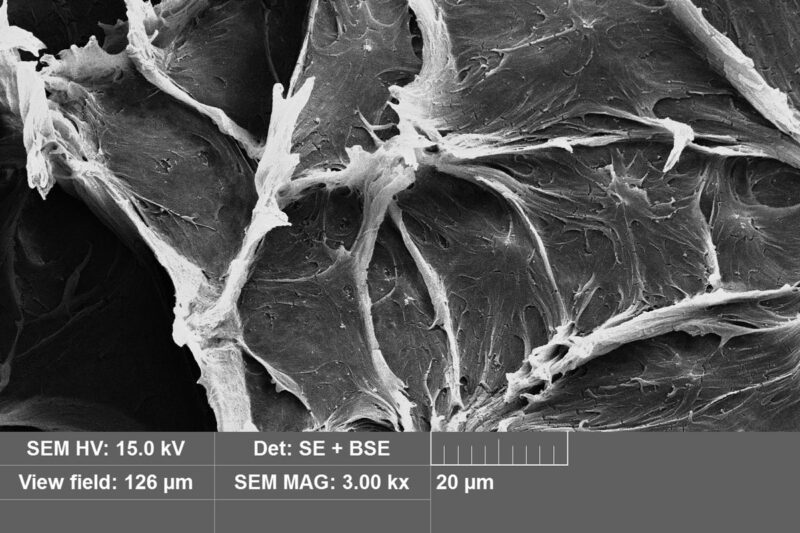 Failed Plastic Part? Find Out Why. Failure Analysis by TMG