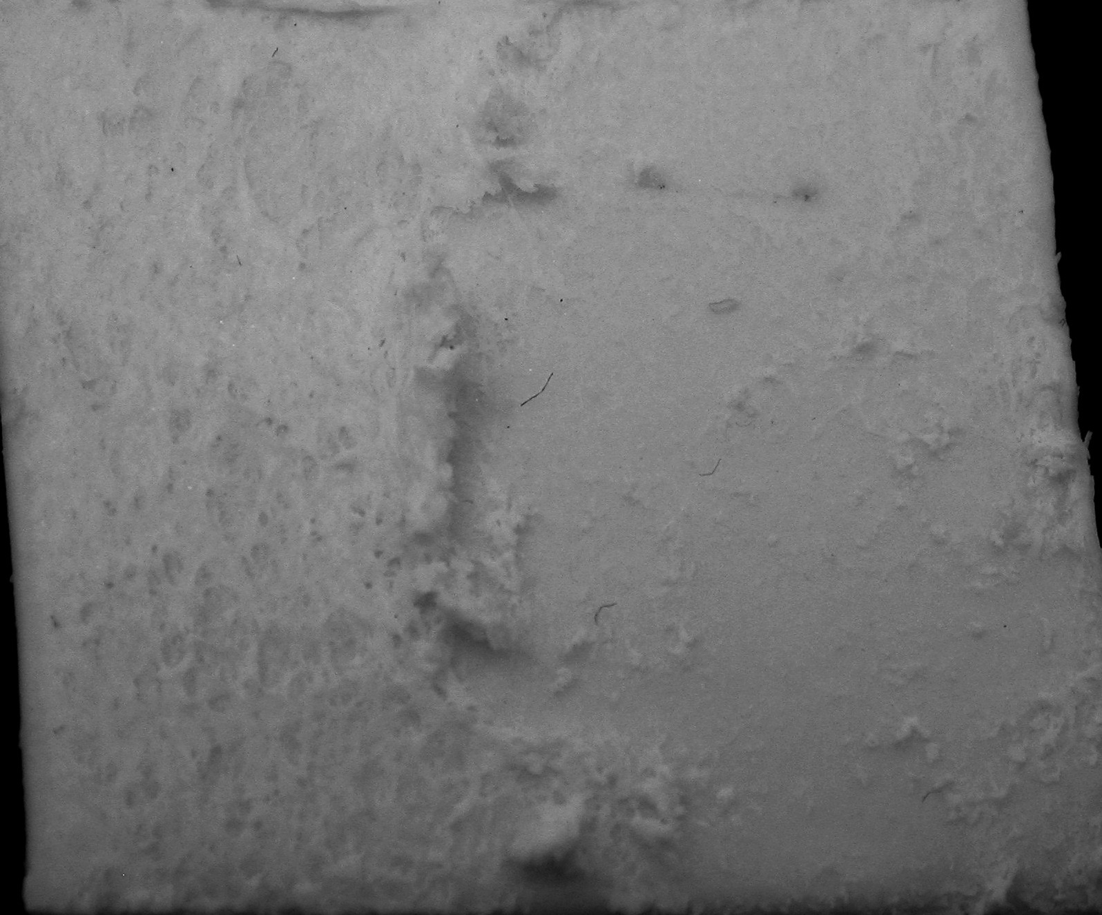 PVC Part 2: Processing - The Madison Group