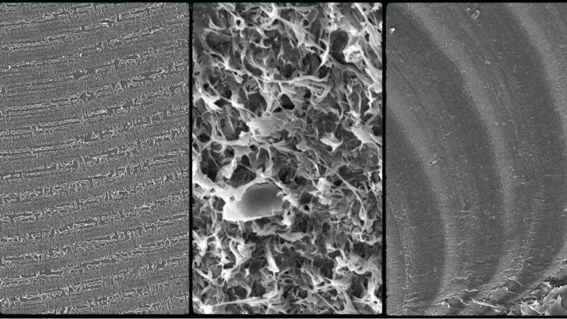 Fractography in Plastics Failures