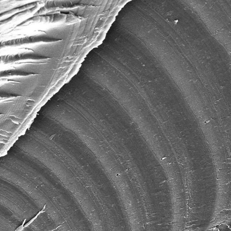 Fractography: Understanding Cracking in Materials
